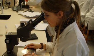 Human Sciences | St John's College, Oxford